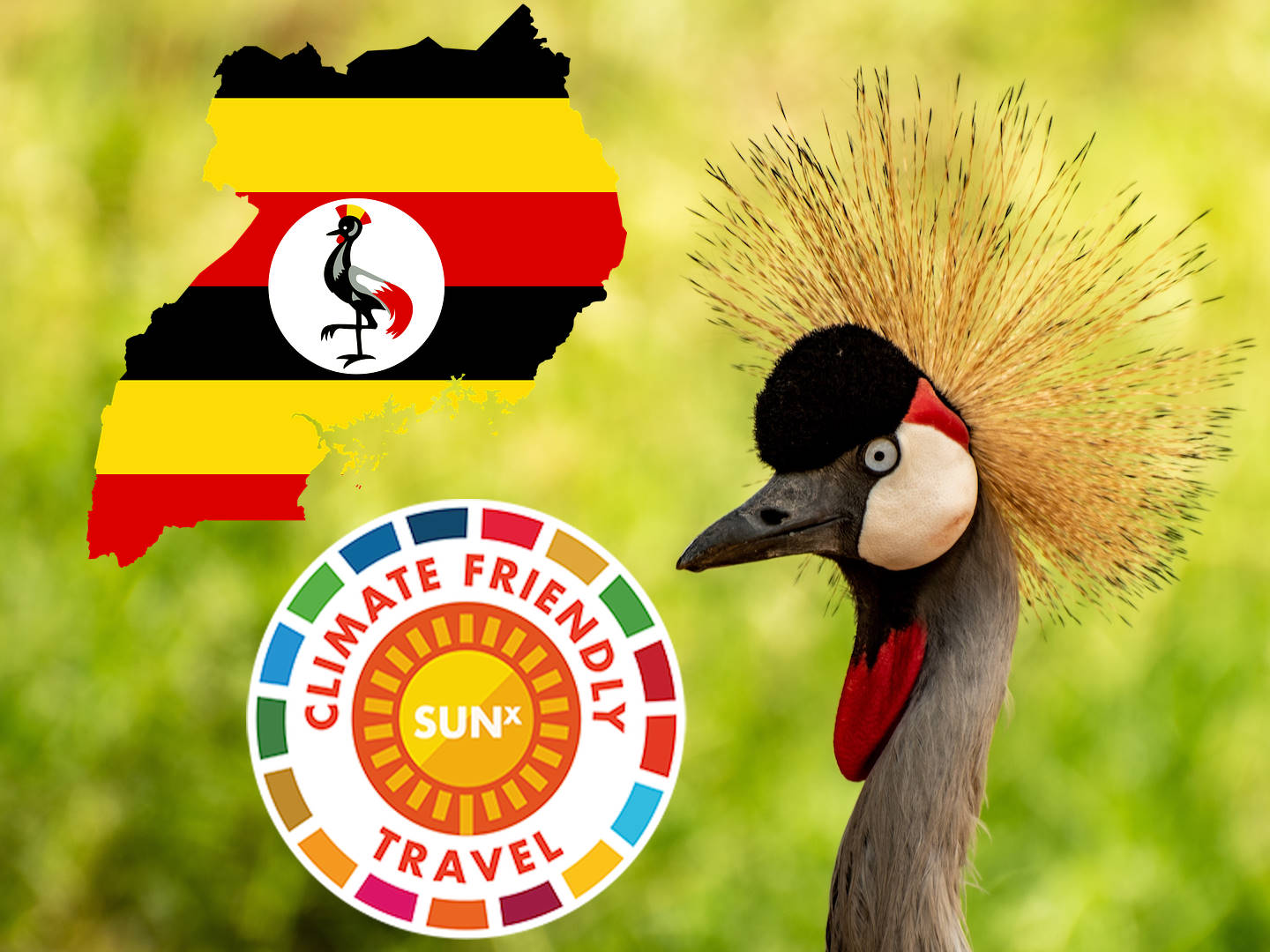 SUNx, CFT Uganda Chapter urge tourism climate action and adaptation in ...